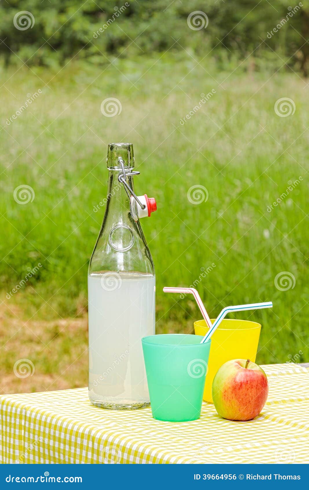 Fresh Homemade Lemonade on a Picnic Table Stock Photo - Image of straws ...