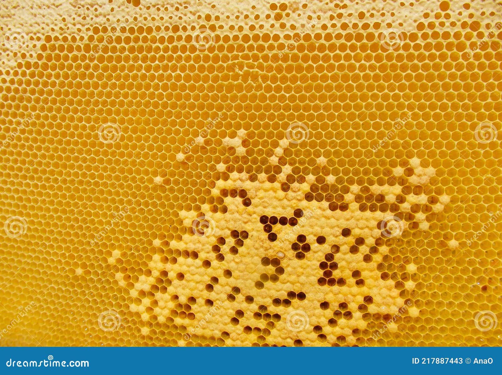 Fresh Honey in Comb. Beewax Comb Structure Abstract Pattern. Yellow ...