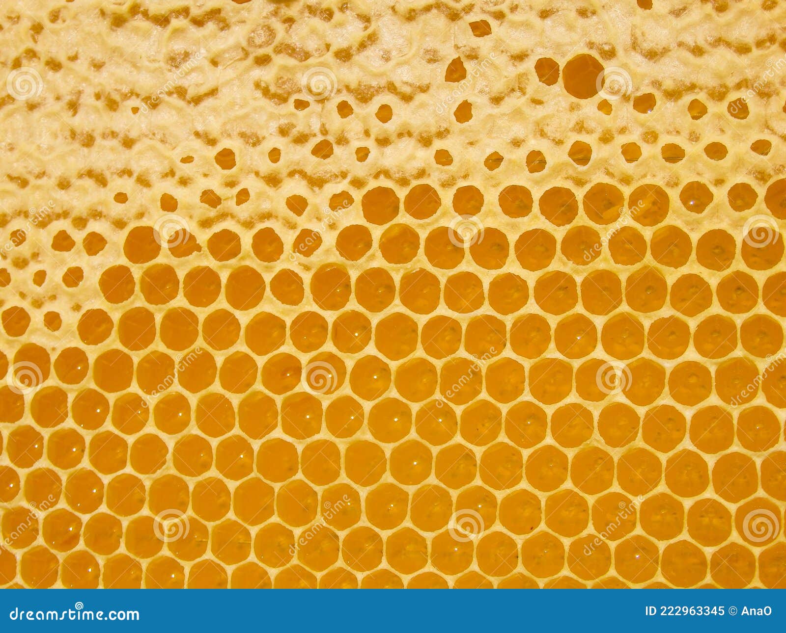 Yellow Bee Cells With Honey, Healthy Food. Background Stock Image ...