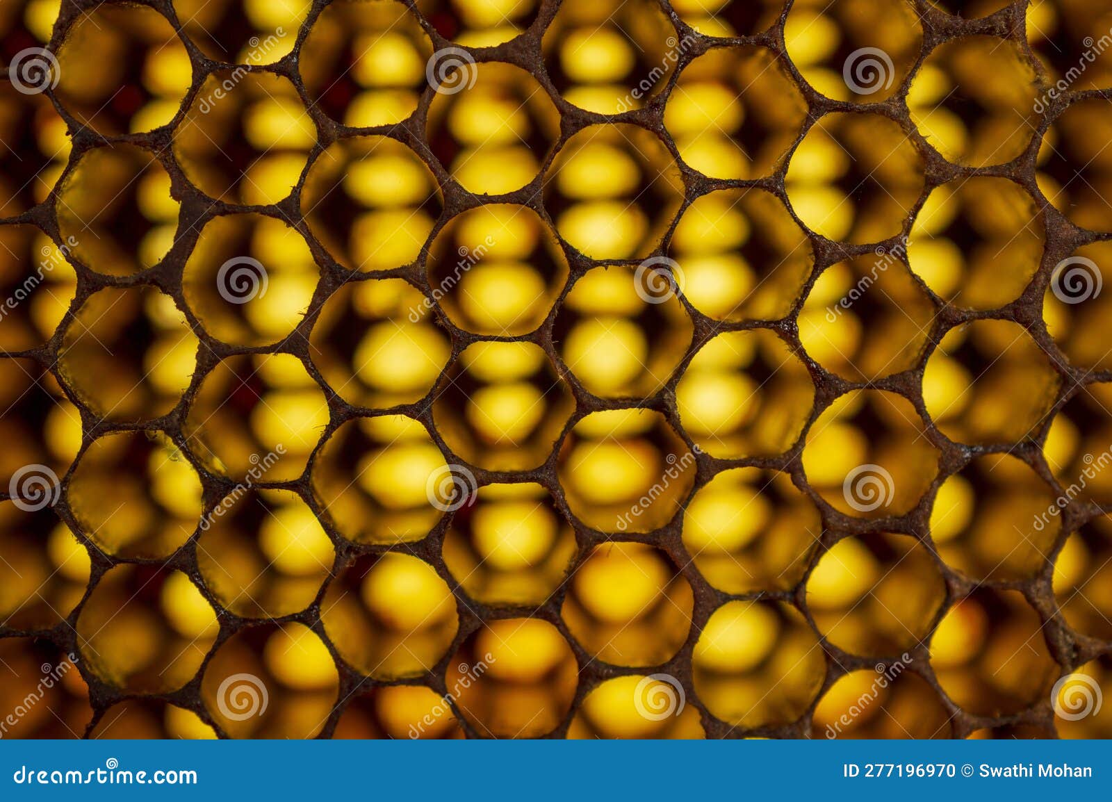 Fresh Honey Comb Forming a Beautiful Texture Pattern Background Stock ...