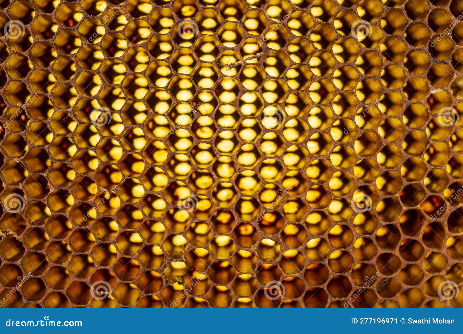 Fresh Honey Comb Forming a Beautiful Texture Pattern Background Stock ...