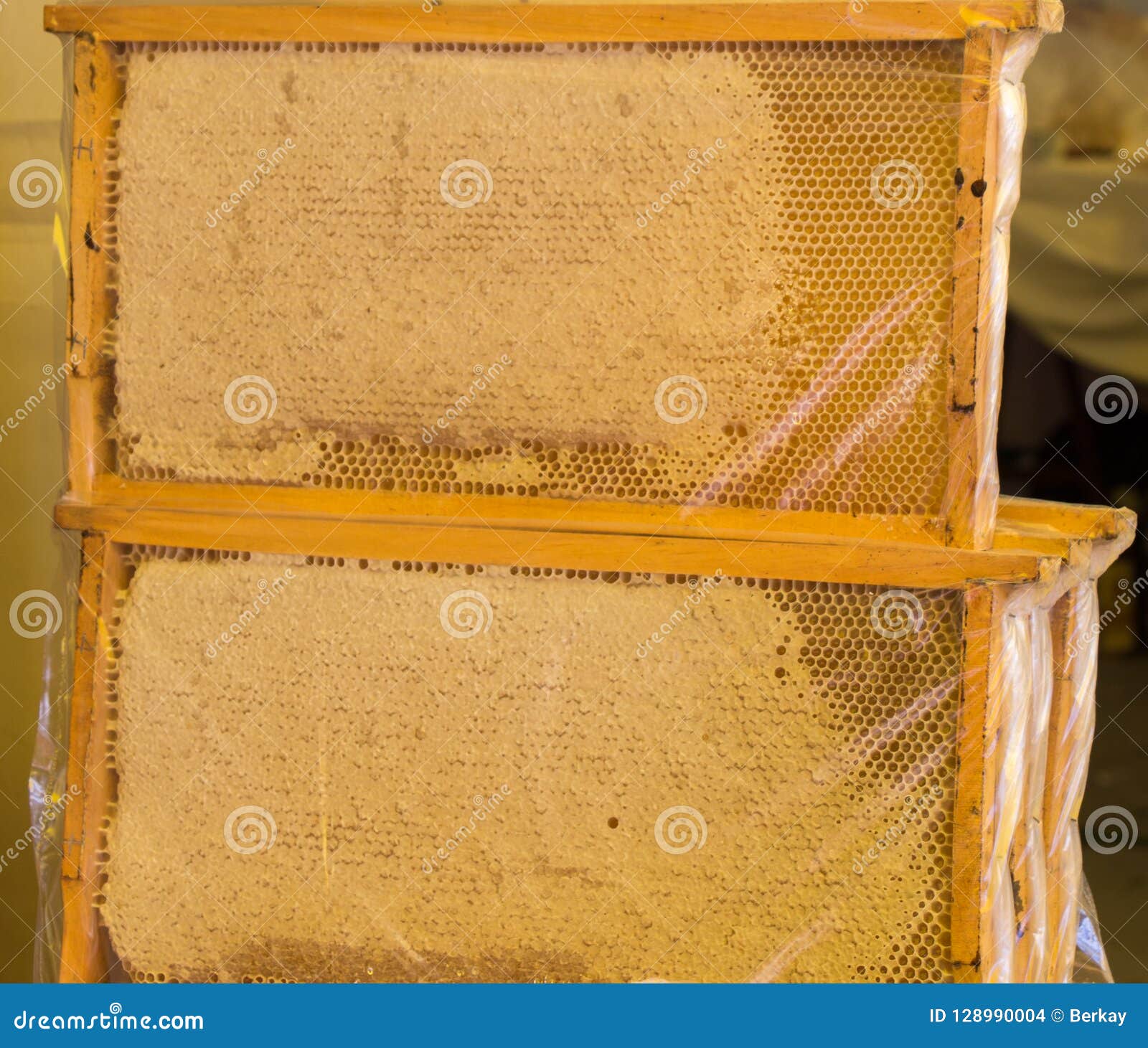 Fresh Honey in the Sealed Comb Frame Stock Photo - Image of beekeeping ...