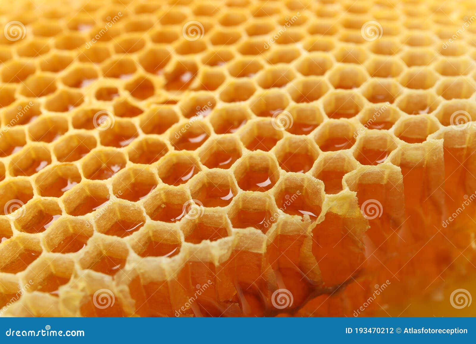 Fresh Honeycomb on Whole Background Stock Photo - Image of geometric ...