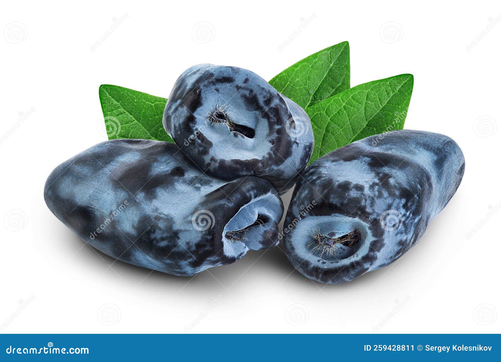 Fresh Honeysuckle Blue Berry Isolated on White Background with Full ...