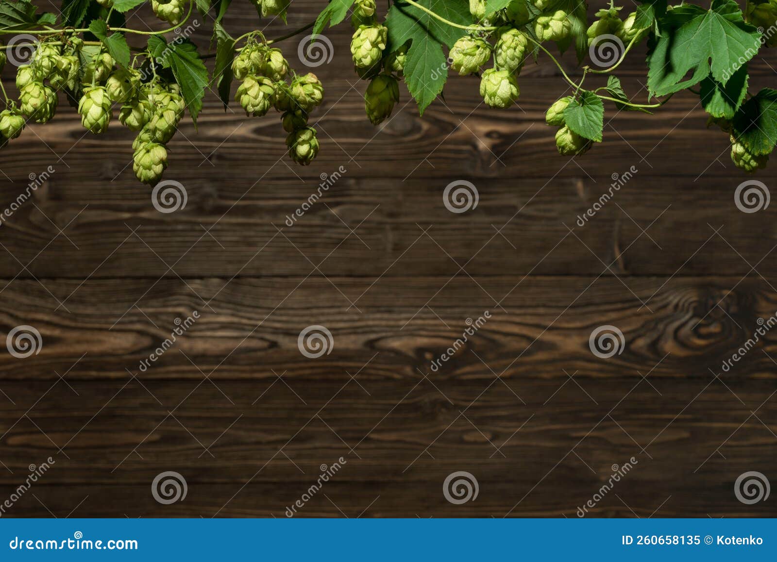 Fresh Hops Border Background Stock Image - Image of flower, people ...
