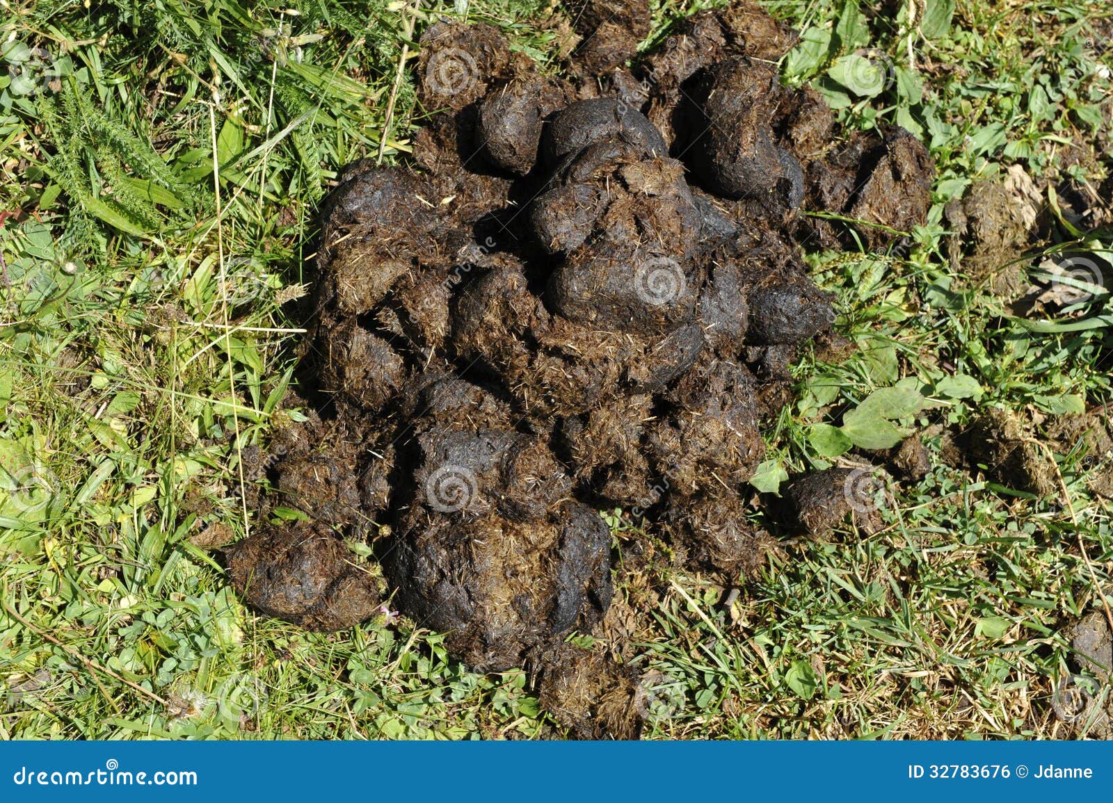 3D Shit Disgusting Poop Royalty-Free Stock Photo | CartoonDealer.com ...