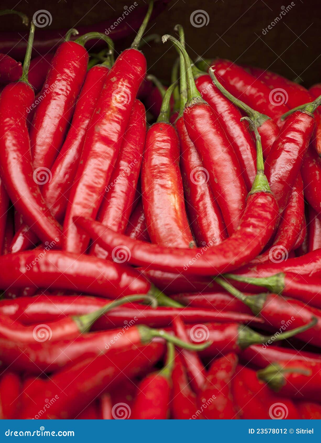 Fresh hot red peppers stock photo. Image of store, pepper - 23578012