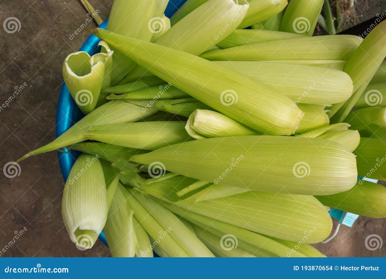Husks Corn Background Stock Photography | CartoonDealer.com #78512006