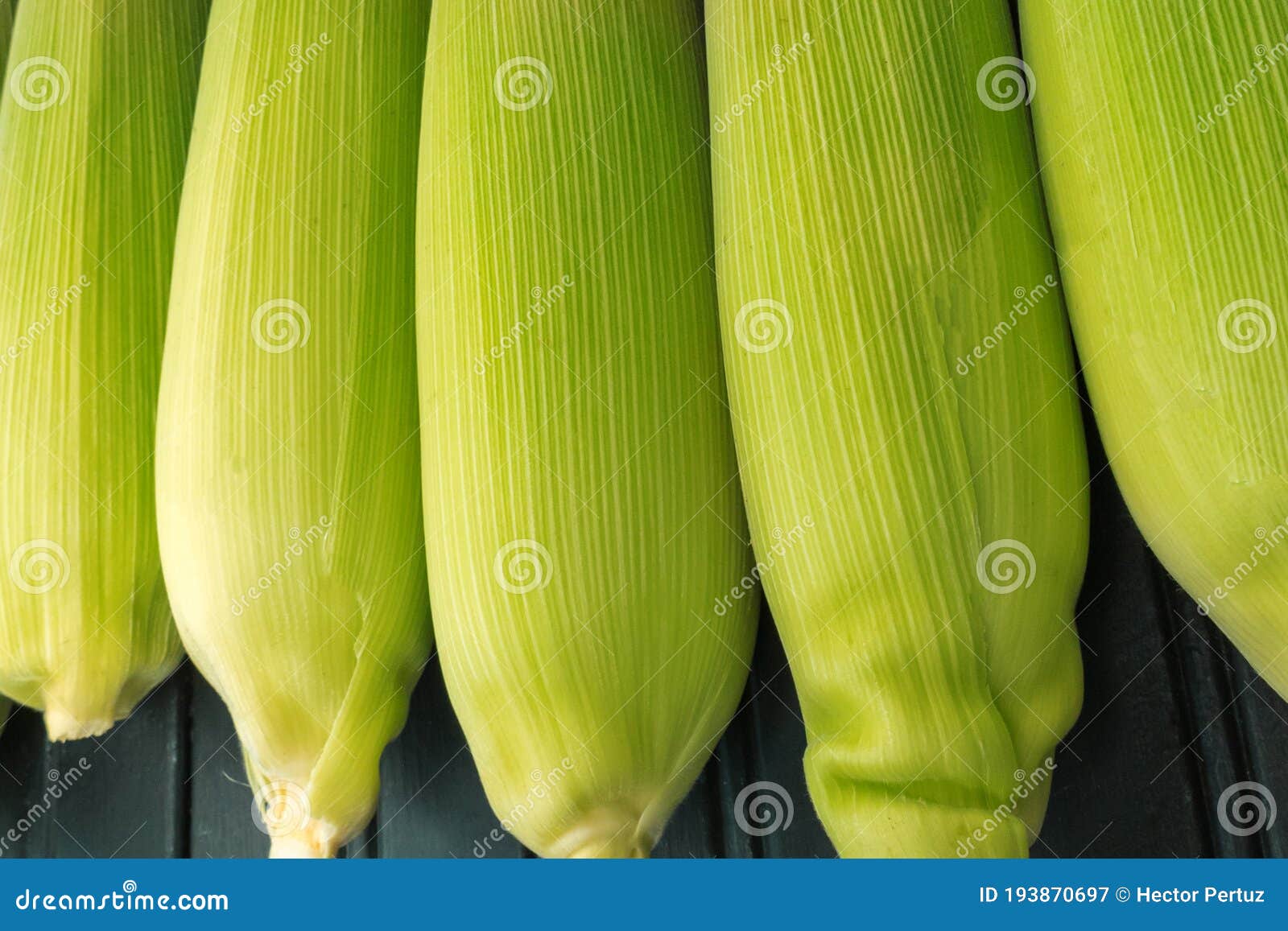 Fresh husks of sweet corn stock image. Image of stalk - 193870697