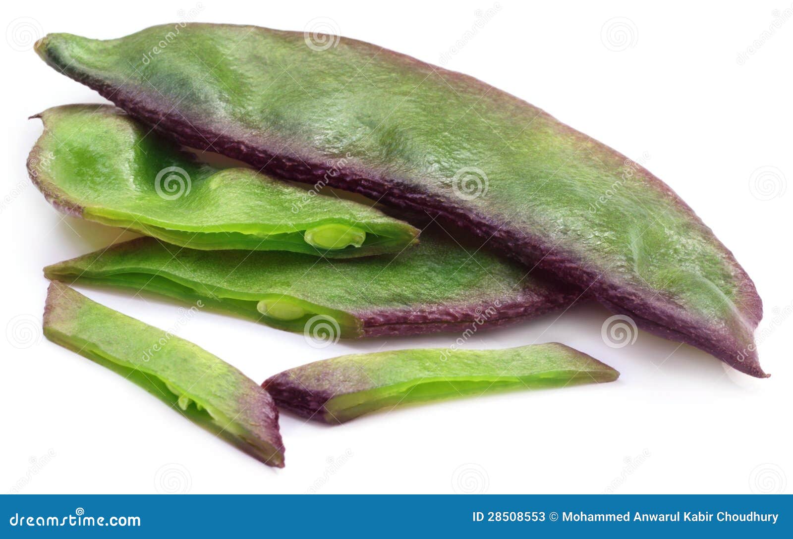 Hyacinth Bean Or Lablab Purpureus Flowering Vine With Multiple Dark ...