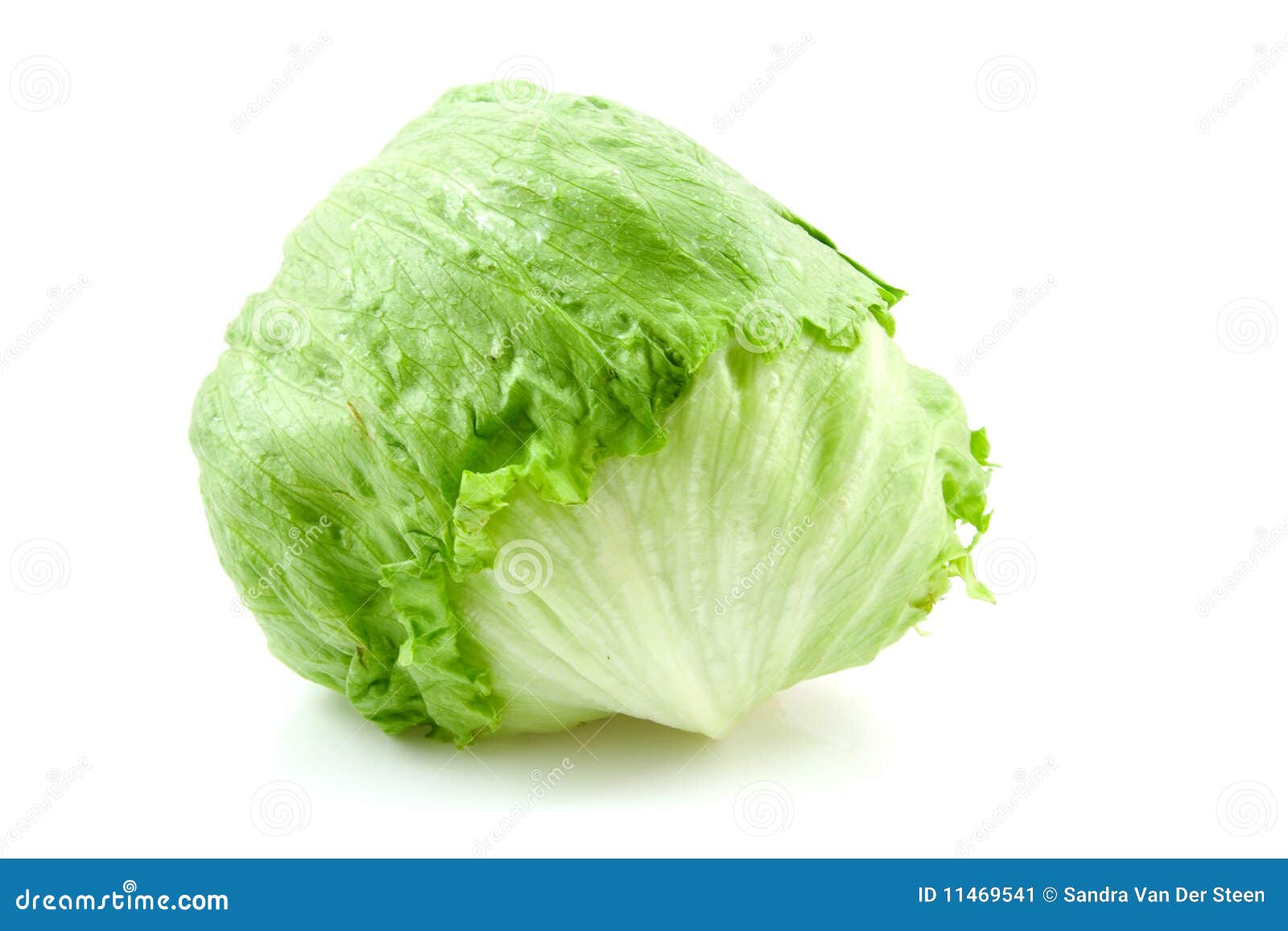 Fresh iceberg lettuce stock image. Image of lettuce, freshness - 11469541