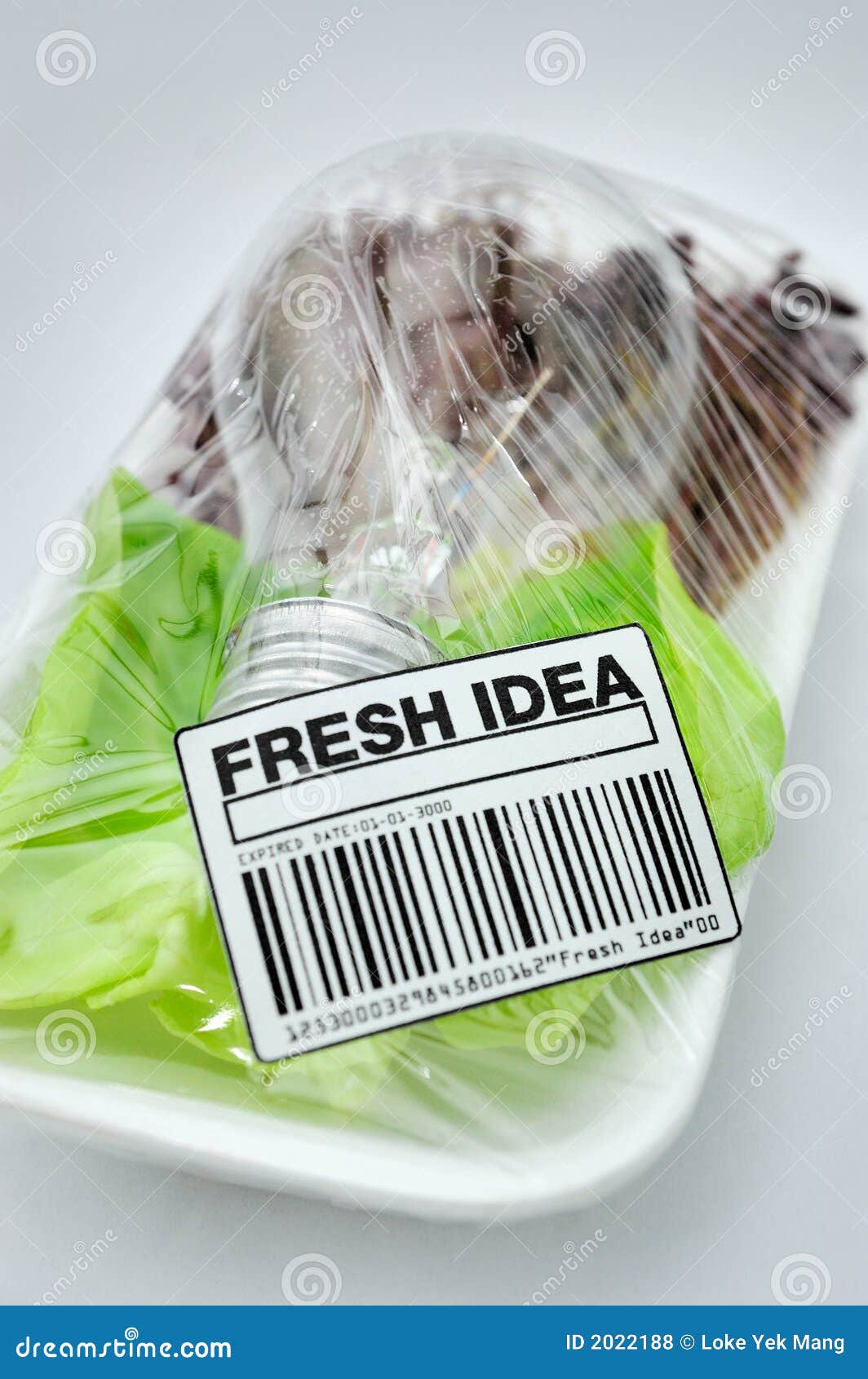 Fresh idea stock photo. Image of salad, bulb, creativity - 2022188