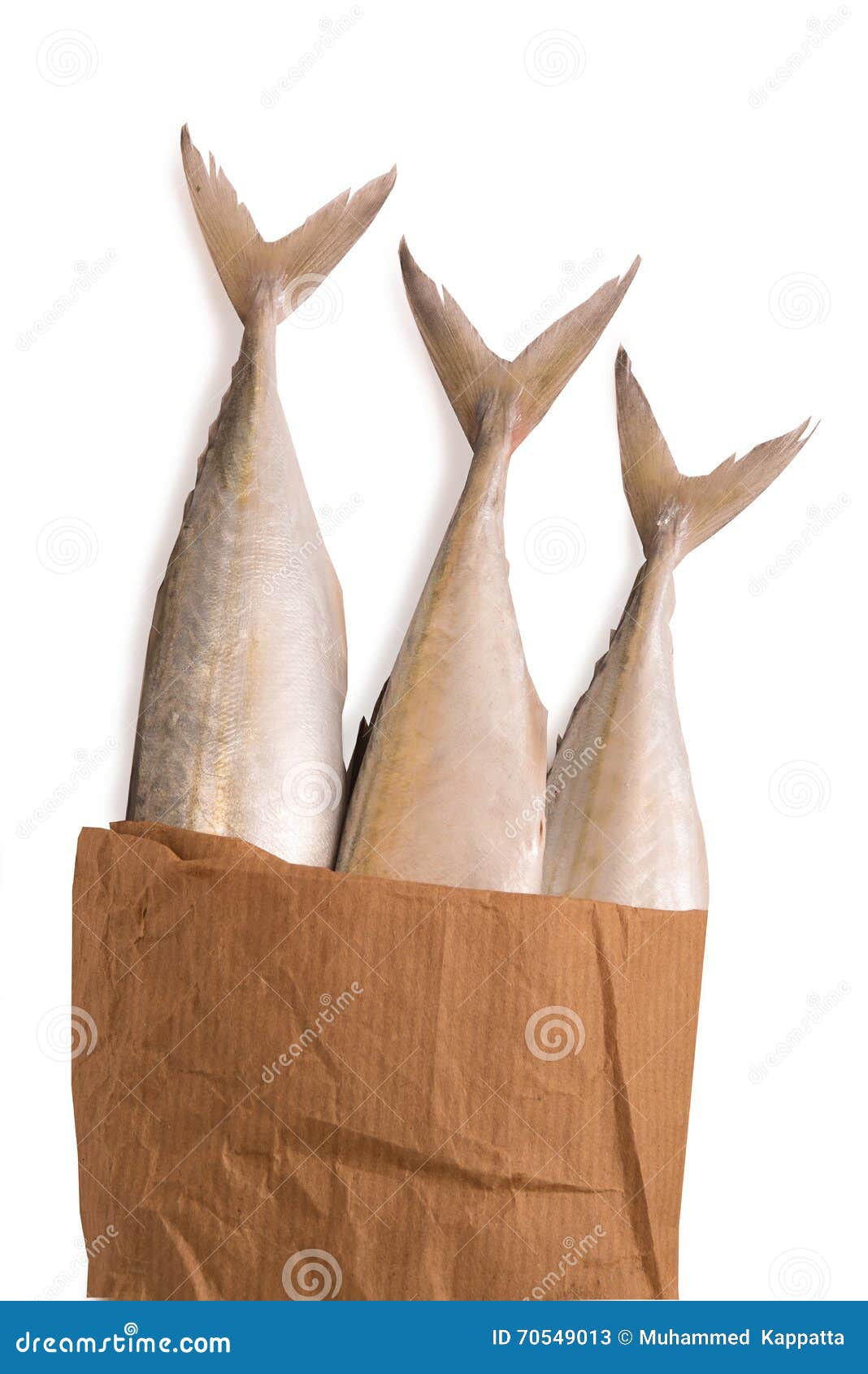 Fresh Indian Mackerel Fish in a Paper Container. Stock Image - Image of ...