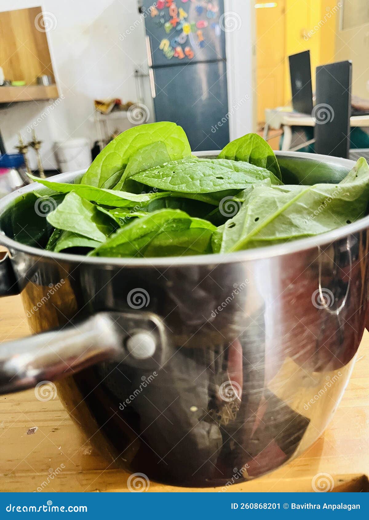 Fresh Indian Spinach Pasali Stock Image - Image of indian, linden ...