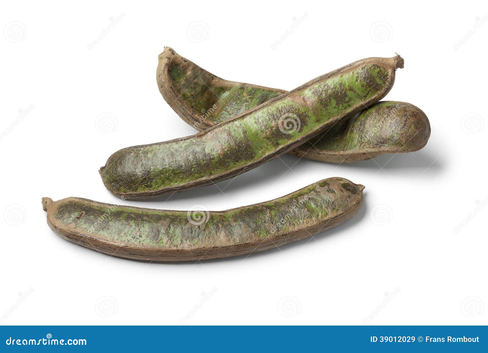 Fresh inga fruit stock image. Image of edulis, background - 39012029