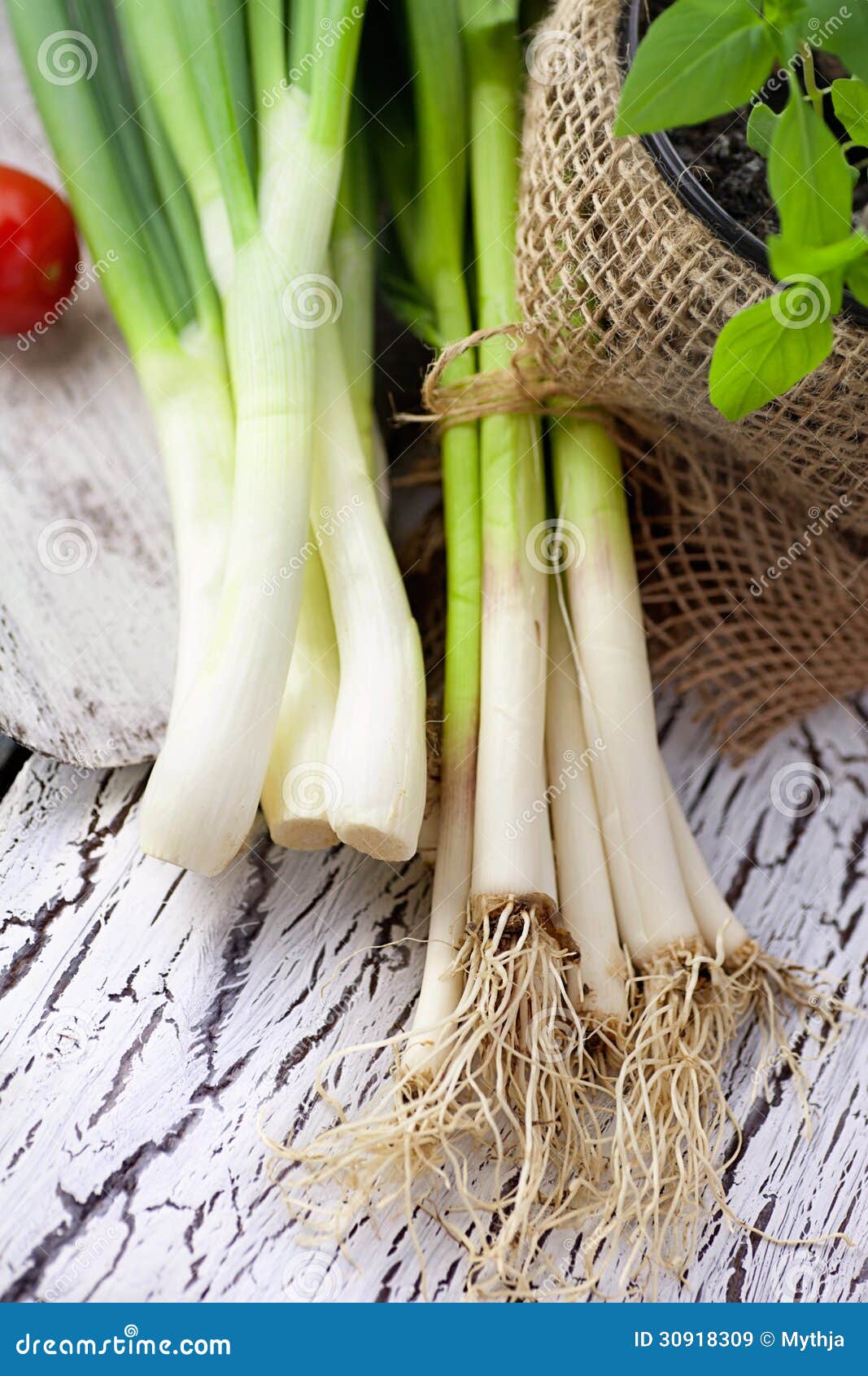 Fresh ingredients stock image. Image of kitchen, green - 30918309