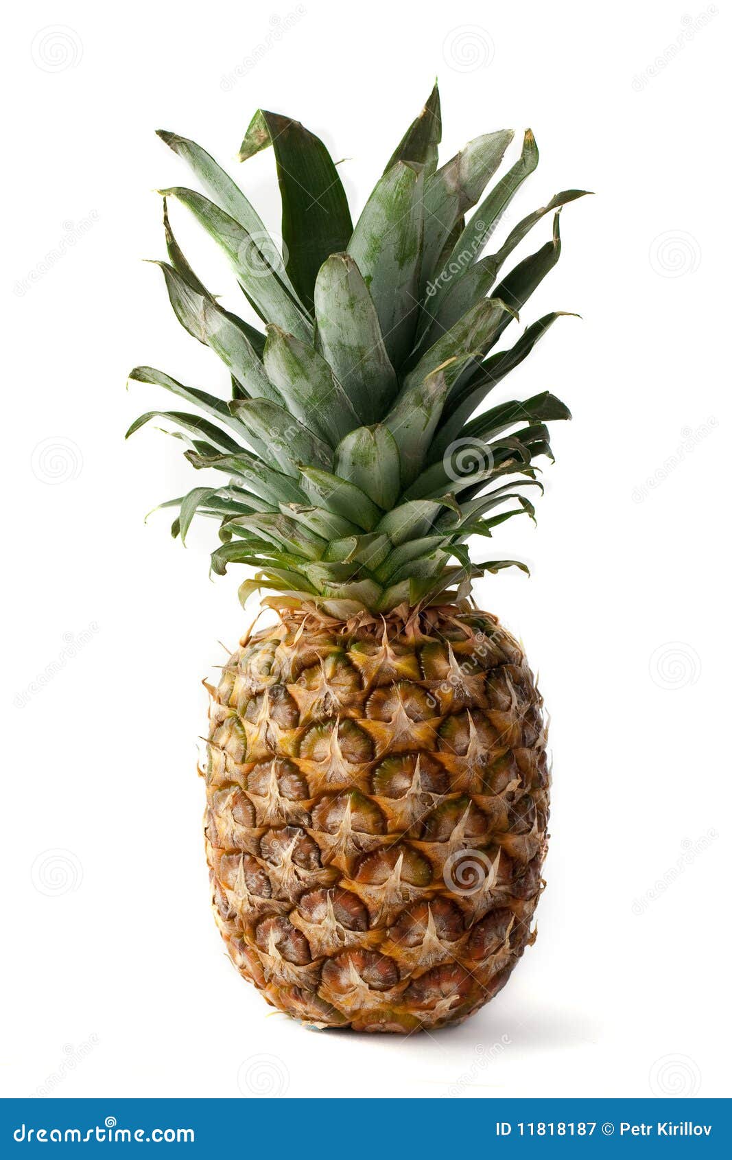 Fresh isolated ananas stock image. Image of natural, healthy - 11818187