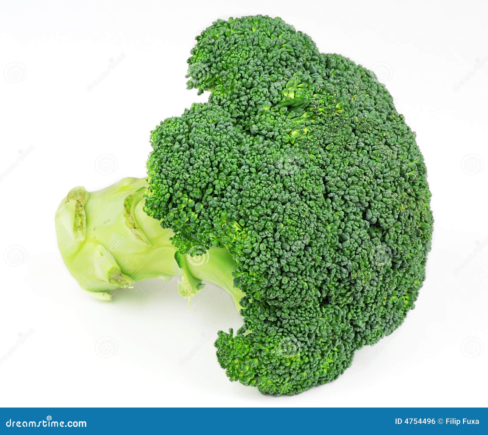 Fresh isolated broccoli stock photo. Image of cuisine - 4754496