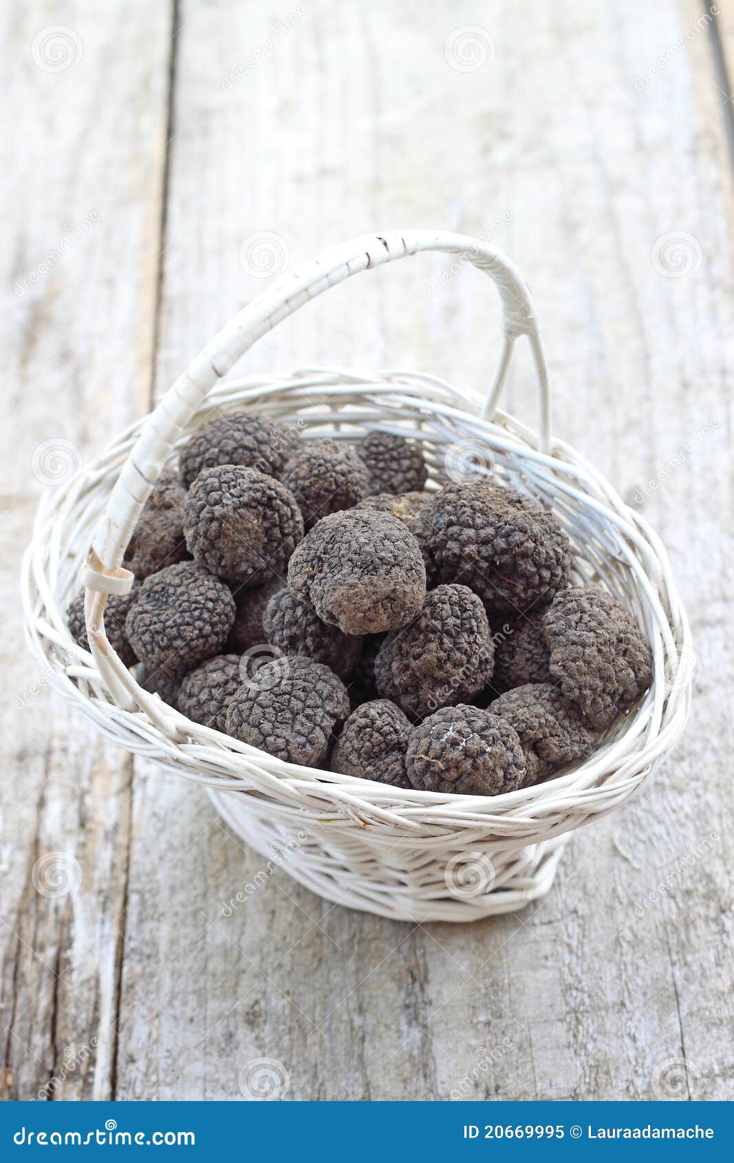 Fresh italian truffles stock image. Image of background - 20669995