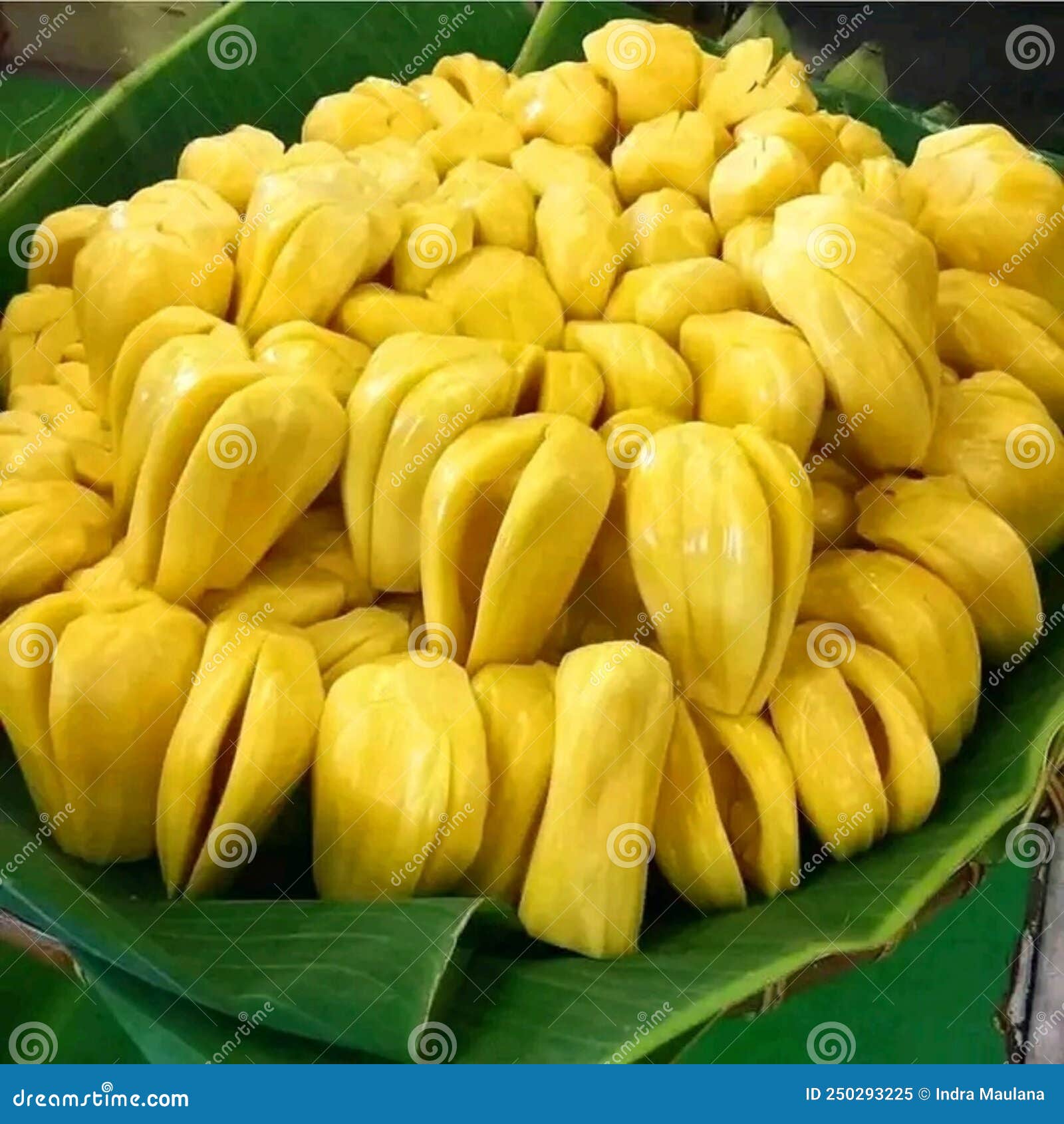 Fresh jackfruit slices stock image. Image of crop, jackfruit - 250293225