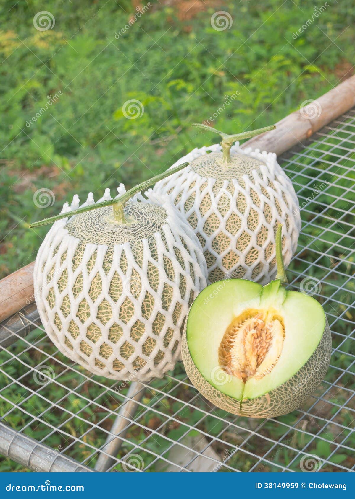 Fresh Japanese musk melons stock image. Image of asian - 38149959