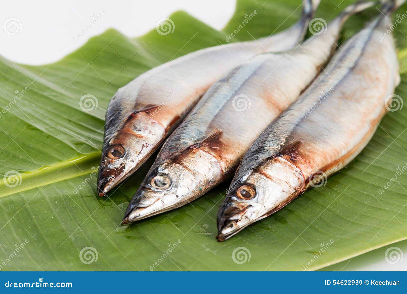Fresh Japanese Sanma Fish on Leaf Stock Image - Image of fish, fall ...