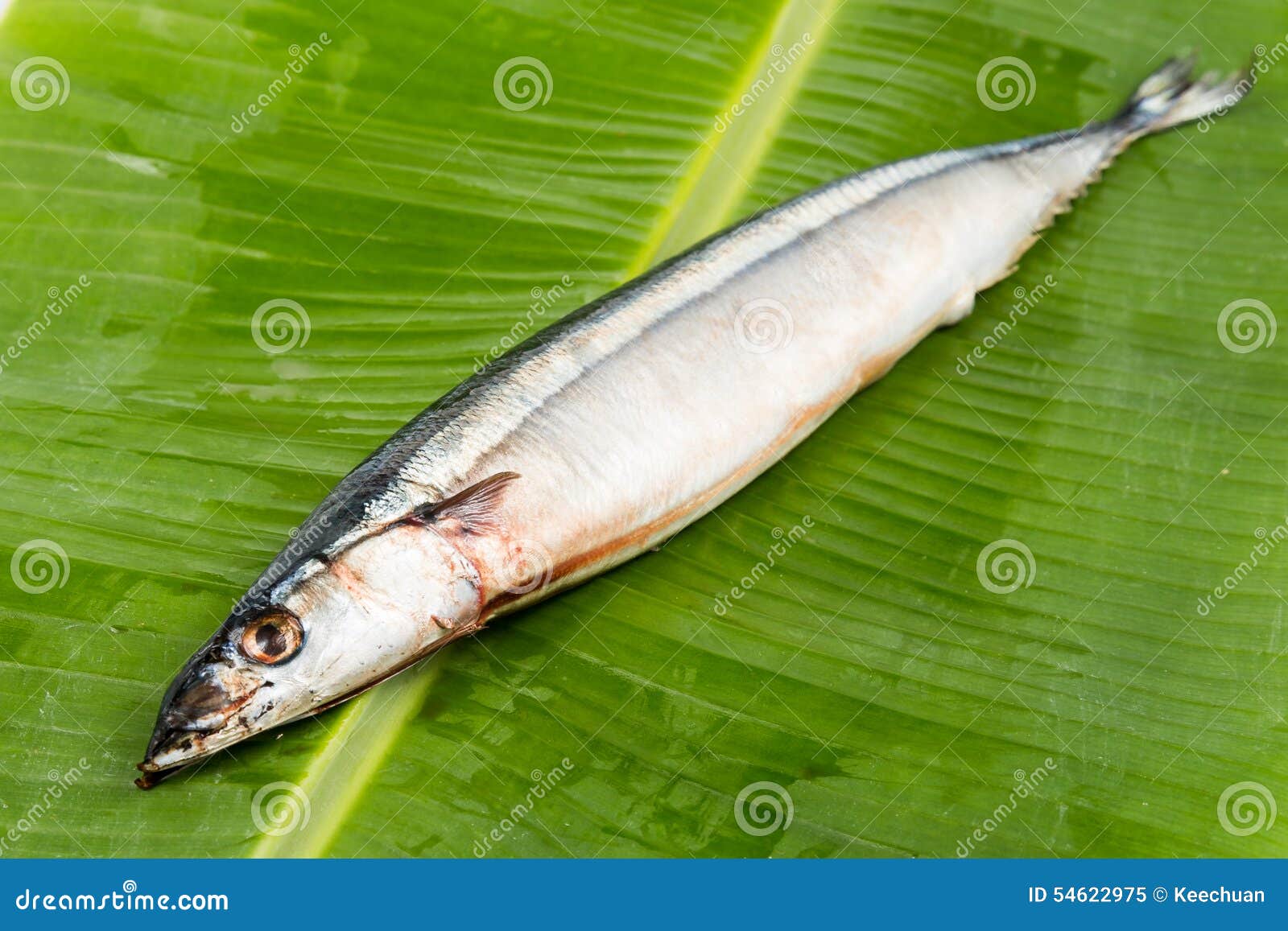 Fresh Japanese Sanma Fish on Leaf Stock Image - Image of prepared ...
