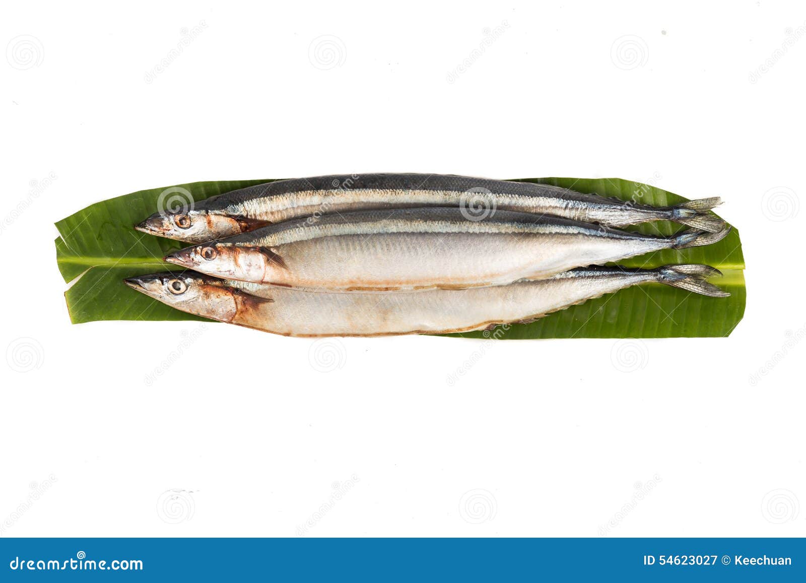 Fresh Japanese Sanma Fish on Leaf Stock Image - Image of seafood, leaf ...