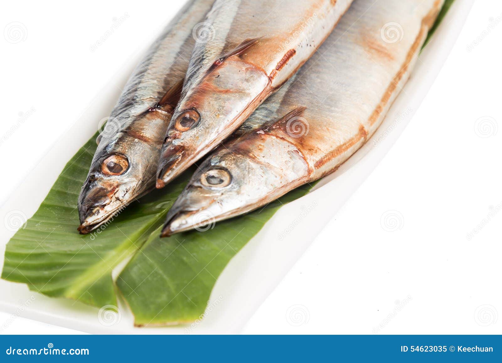 Fresh Japanese Sanma Fish on Leaf Stock Image - Image of saira, leaf ...