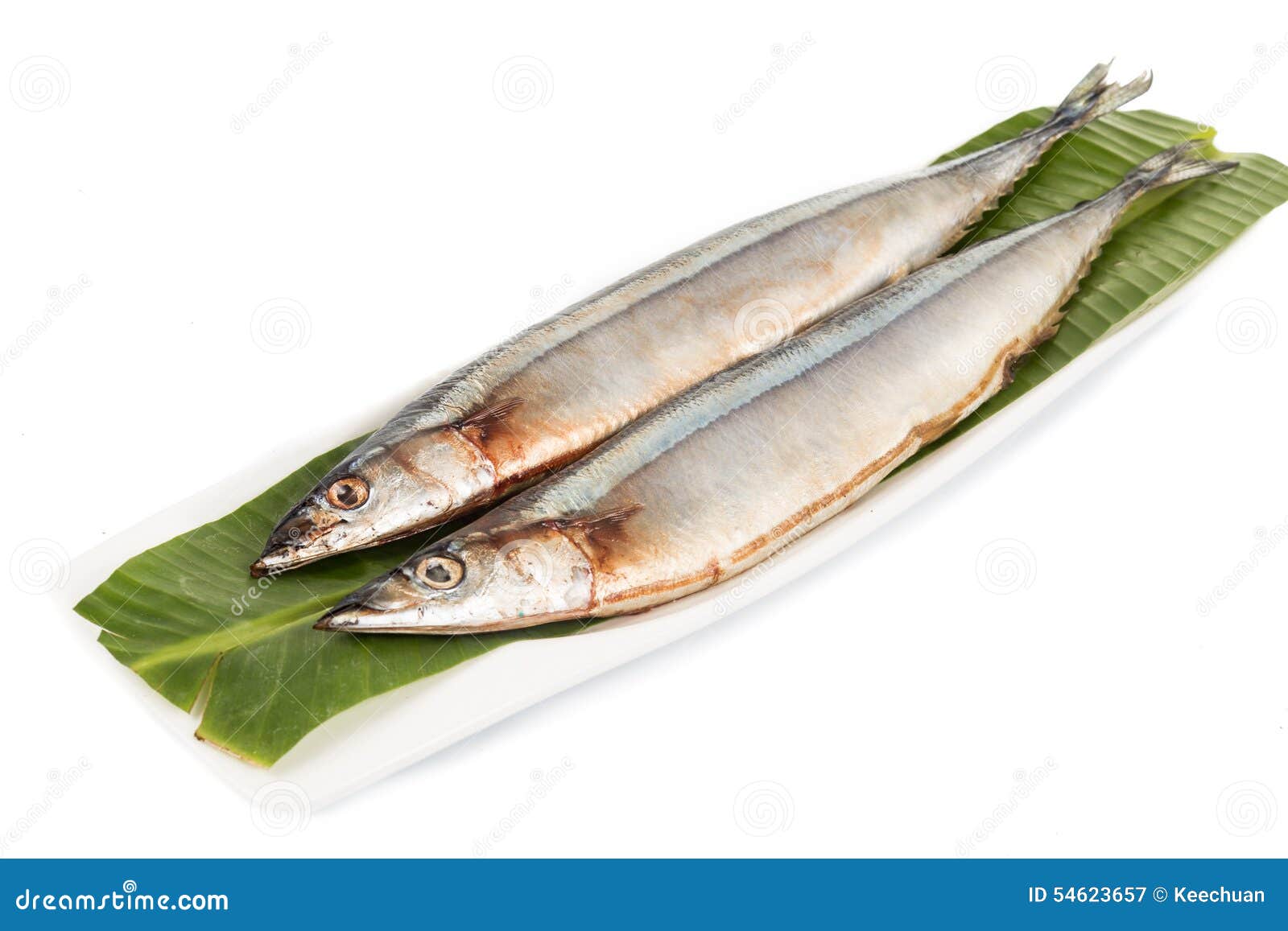 Sanma Fish Japanese Food Royalty-Free Stock Image | CartoonDealer.com ...