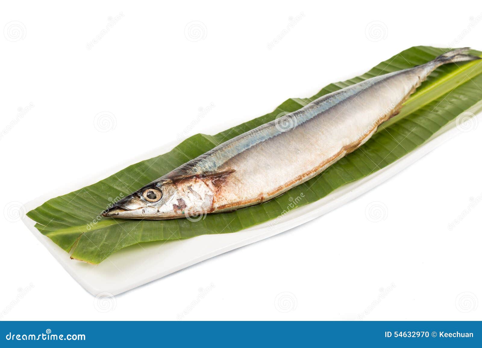 Fresh Japanese Sanma Fish on Leaf Stock Photo - Image of isolated ...