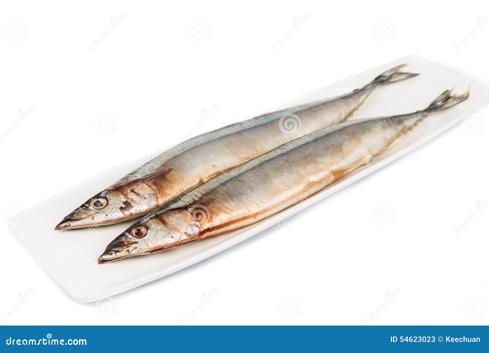Fresh Japanese Sanma Fish on Plate Stock Image - Image of fish, saira ...