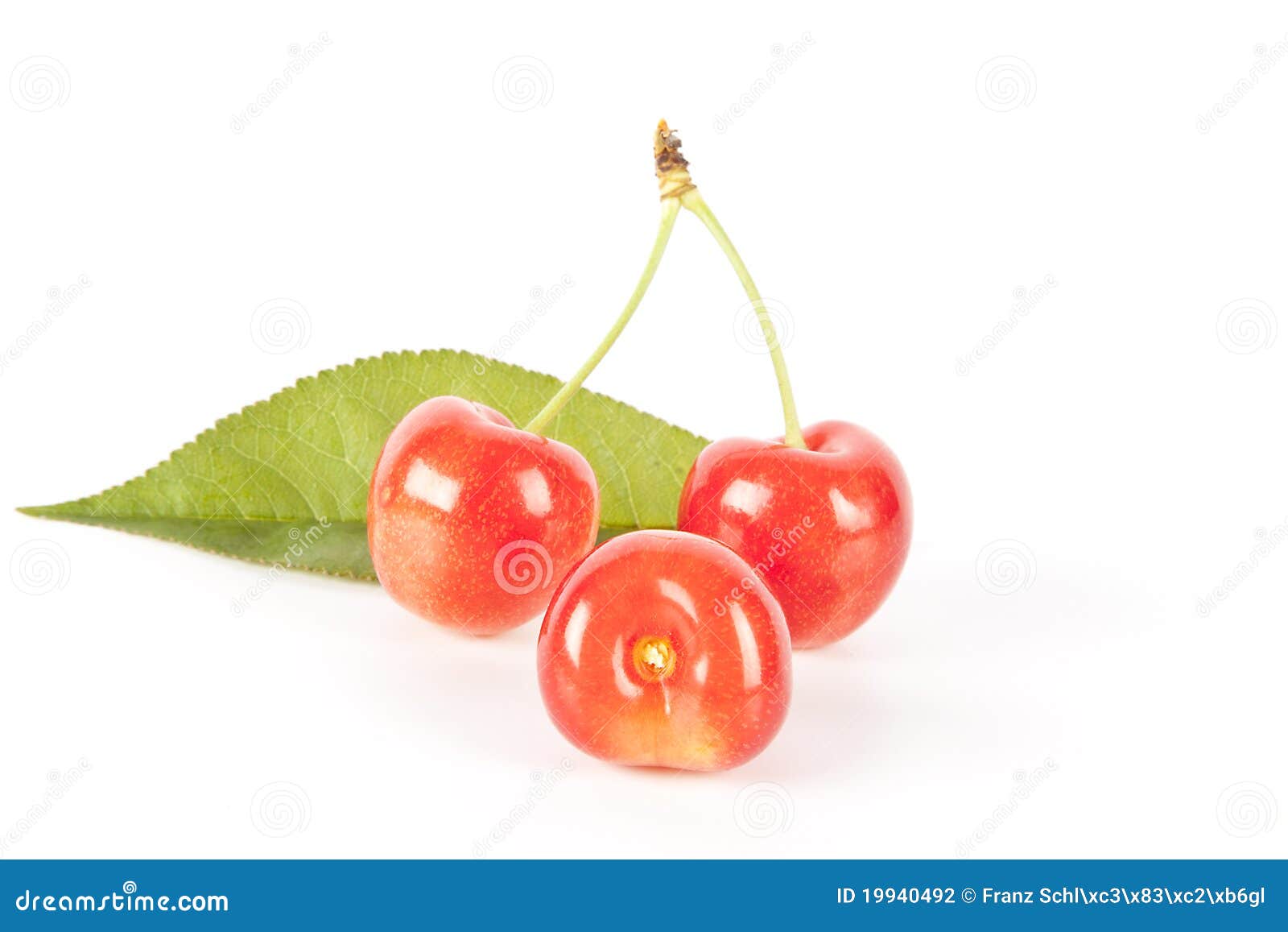 Fresh juich cherries stock photo. Image of ripe, fresh - 19940492