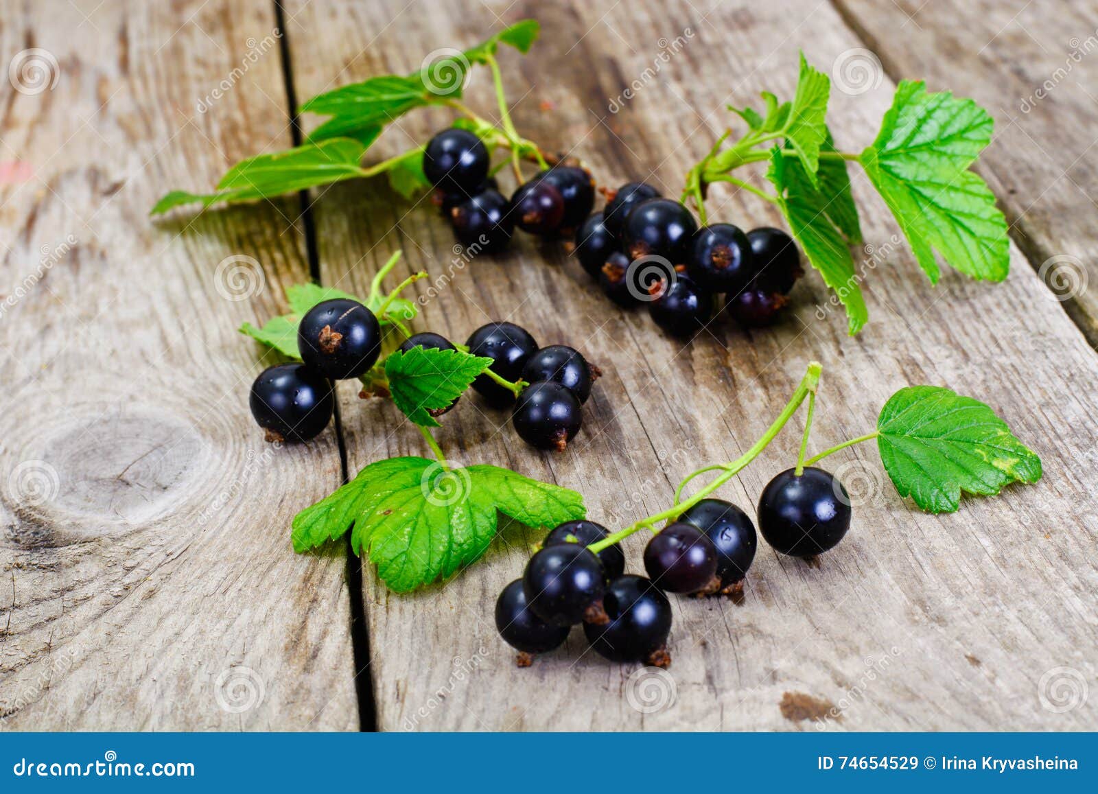 Fresh Juicy Blackcurrant stock image. Image of delicious - 74654529