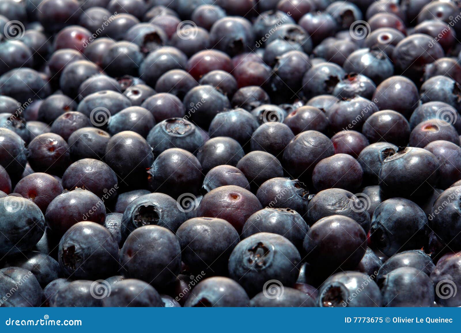 Fresh and Juicy Natural Organic Blueberries Stock Image - Image of ...