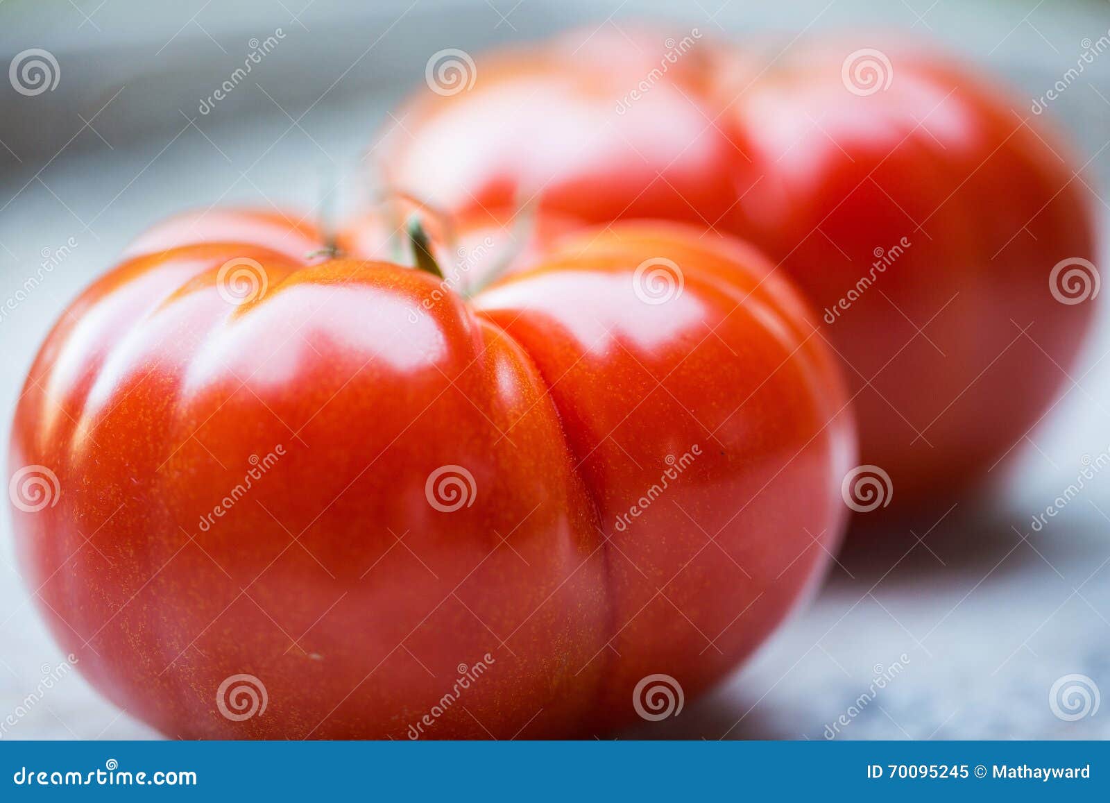 Fresh, Juicy, Organic Red Tomatoes Stock Image - Image of agriculture ...