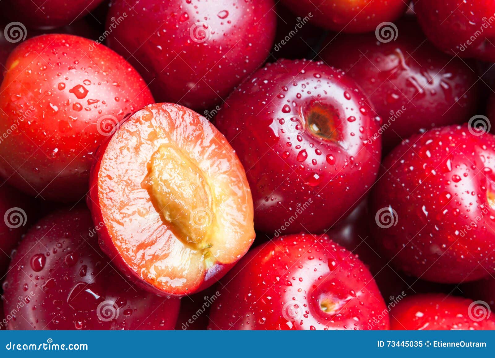 Fresh juicy red plums stock image. Image of seed, closeup - 73445035