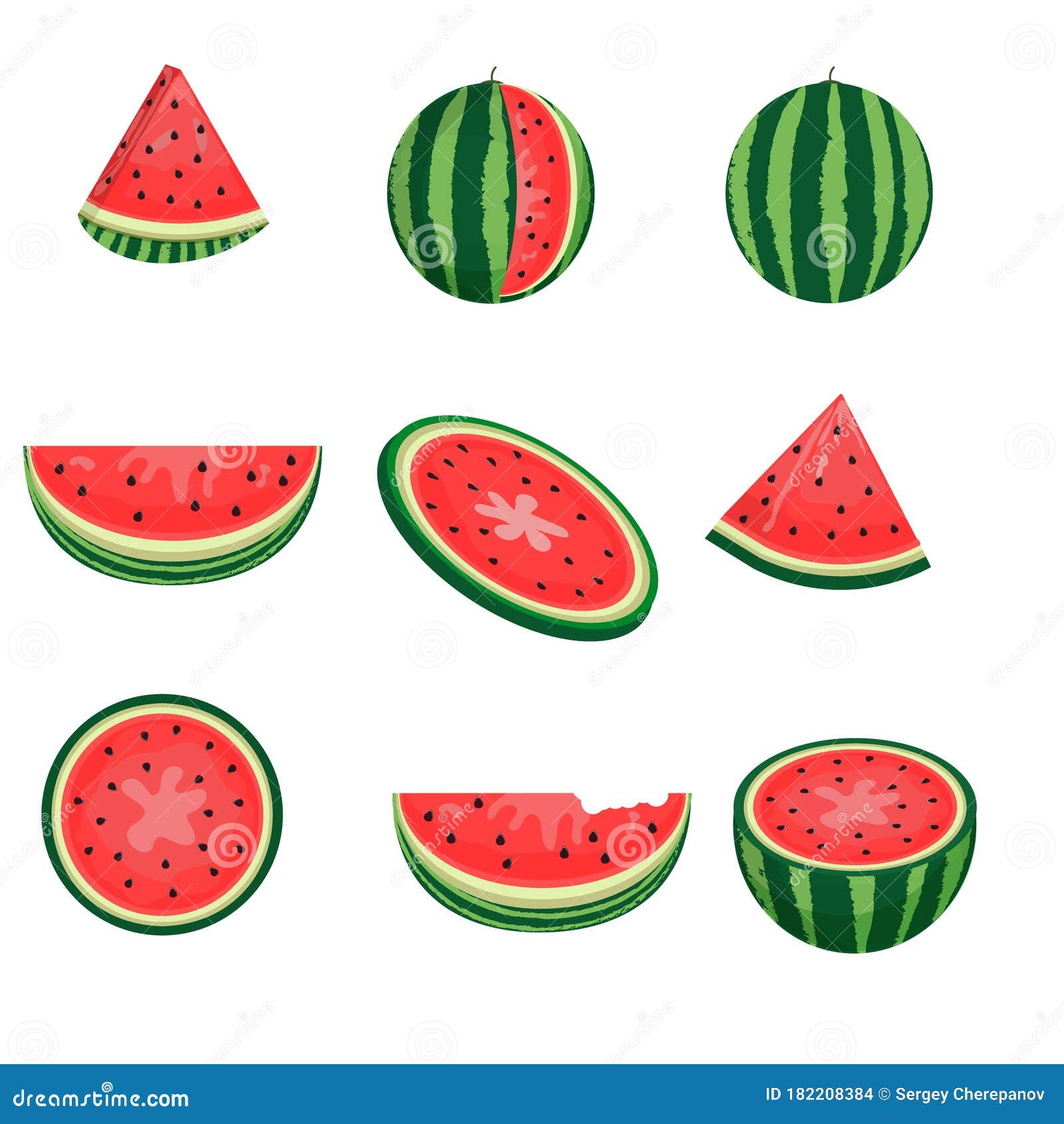 Fresh and Juicy Whole Watermelons and Slices Stock Vector ...