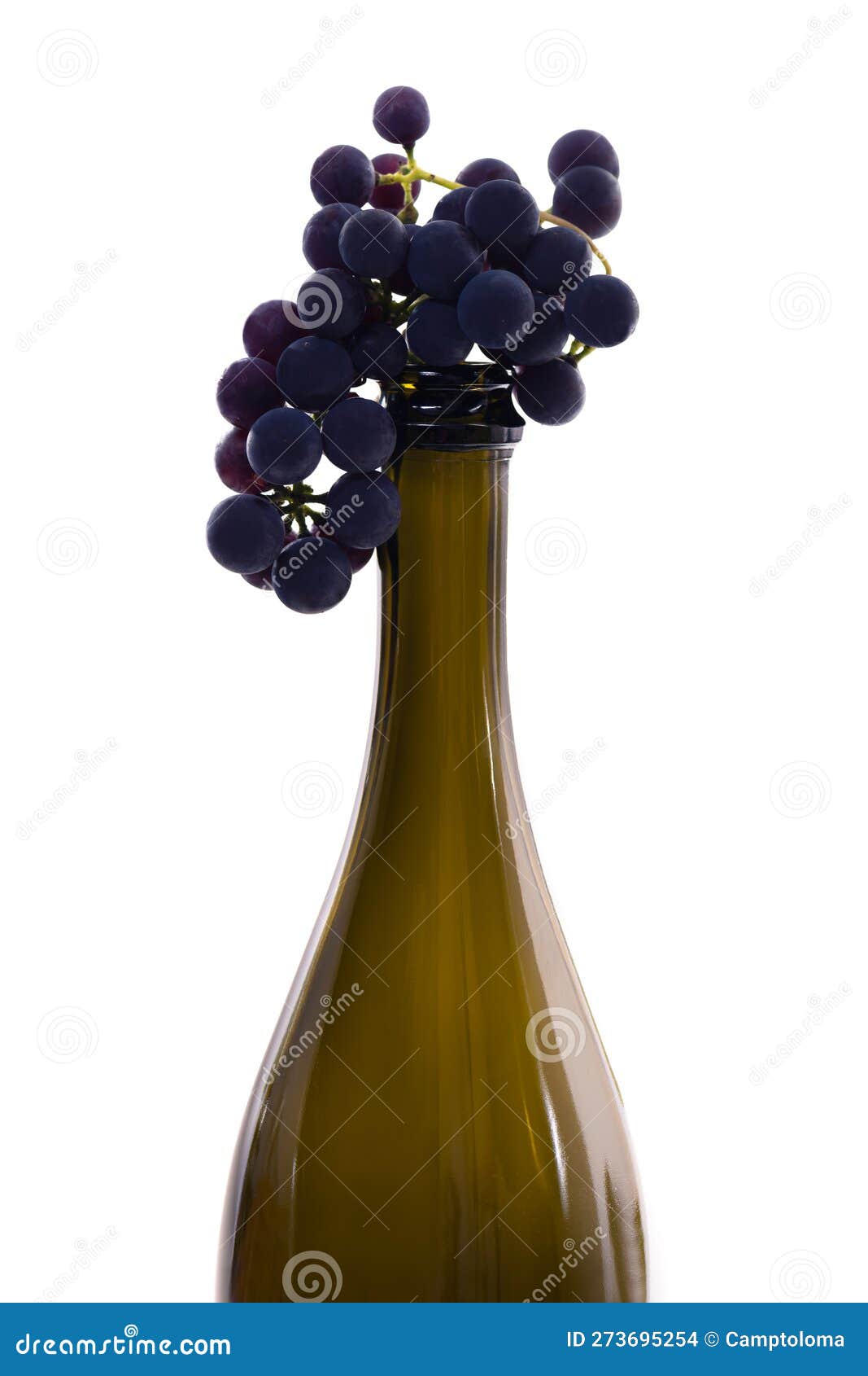 Fresh Juicy Wine Grape on the Top of Empty Bottle Stock Photo - Image ...
