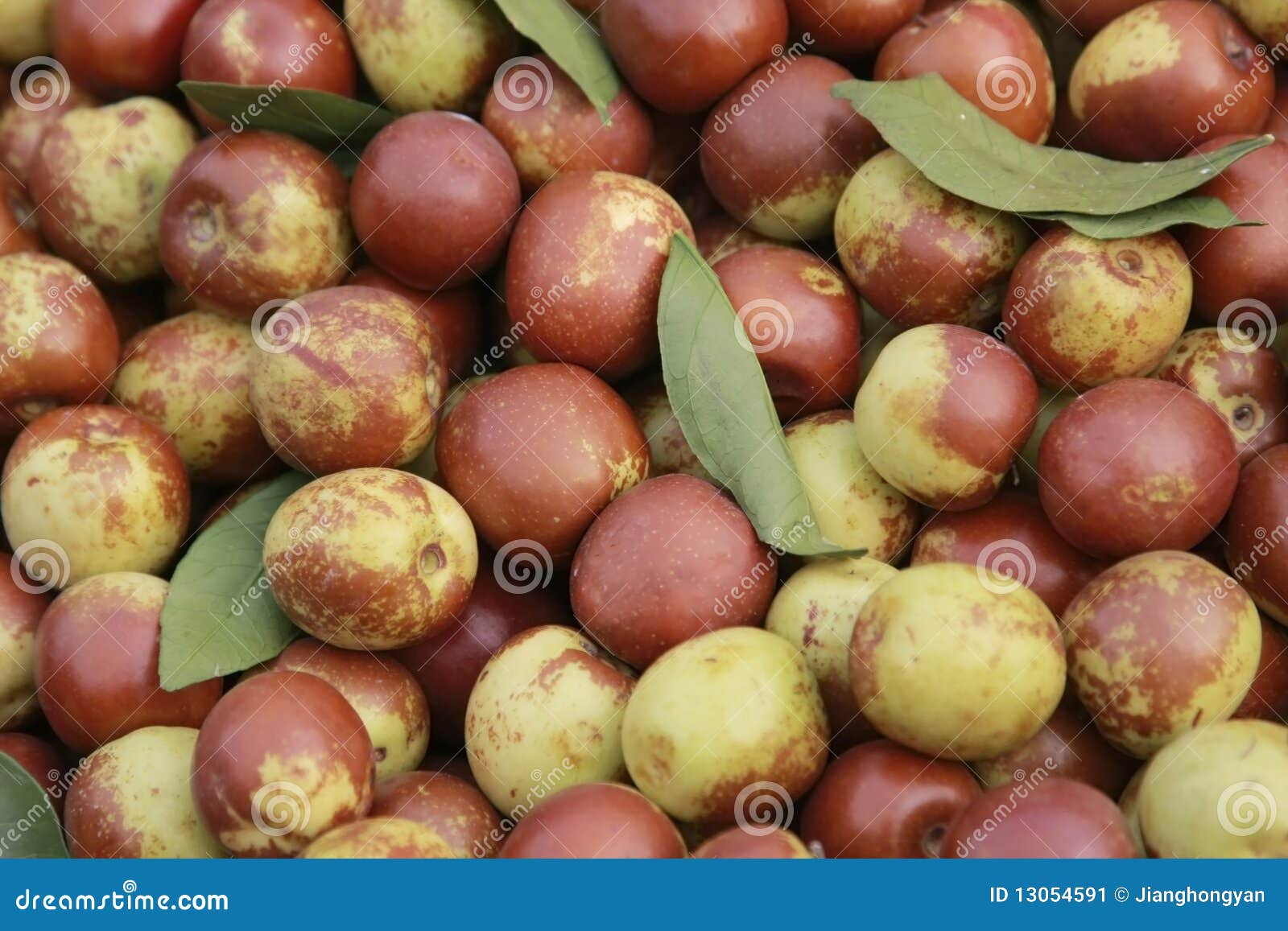 Fresh Jujube/date stock image. Image of texture, agriculture - 13054591