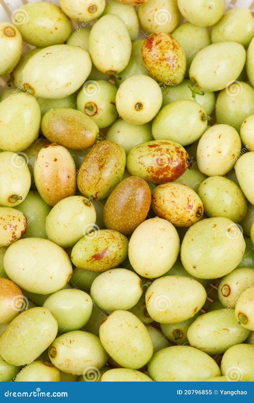 Fresh jujubes stock image. Image of fresh, food, ingredients - 20796855