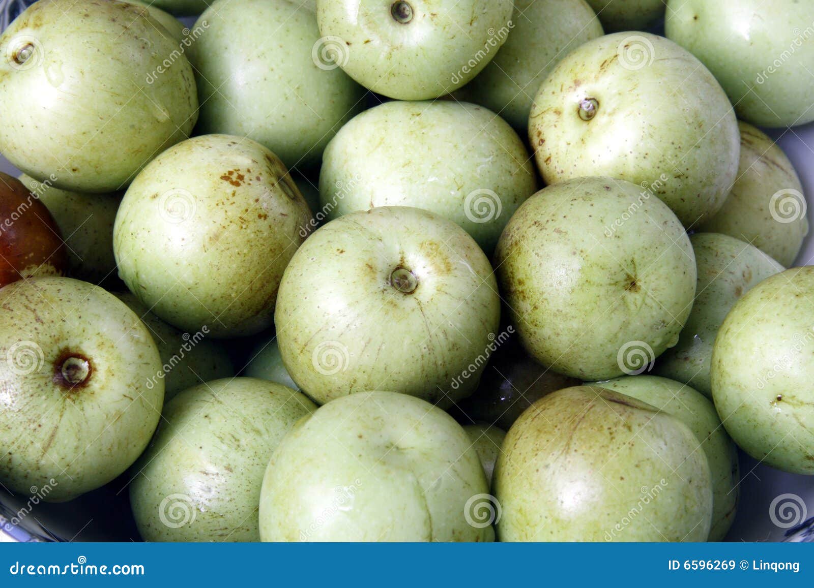 Fresh jujubes stock image. Image of legend, droplets, water - 6596269