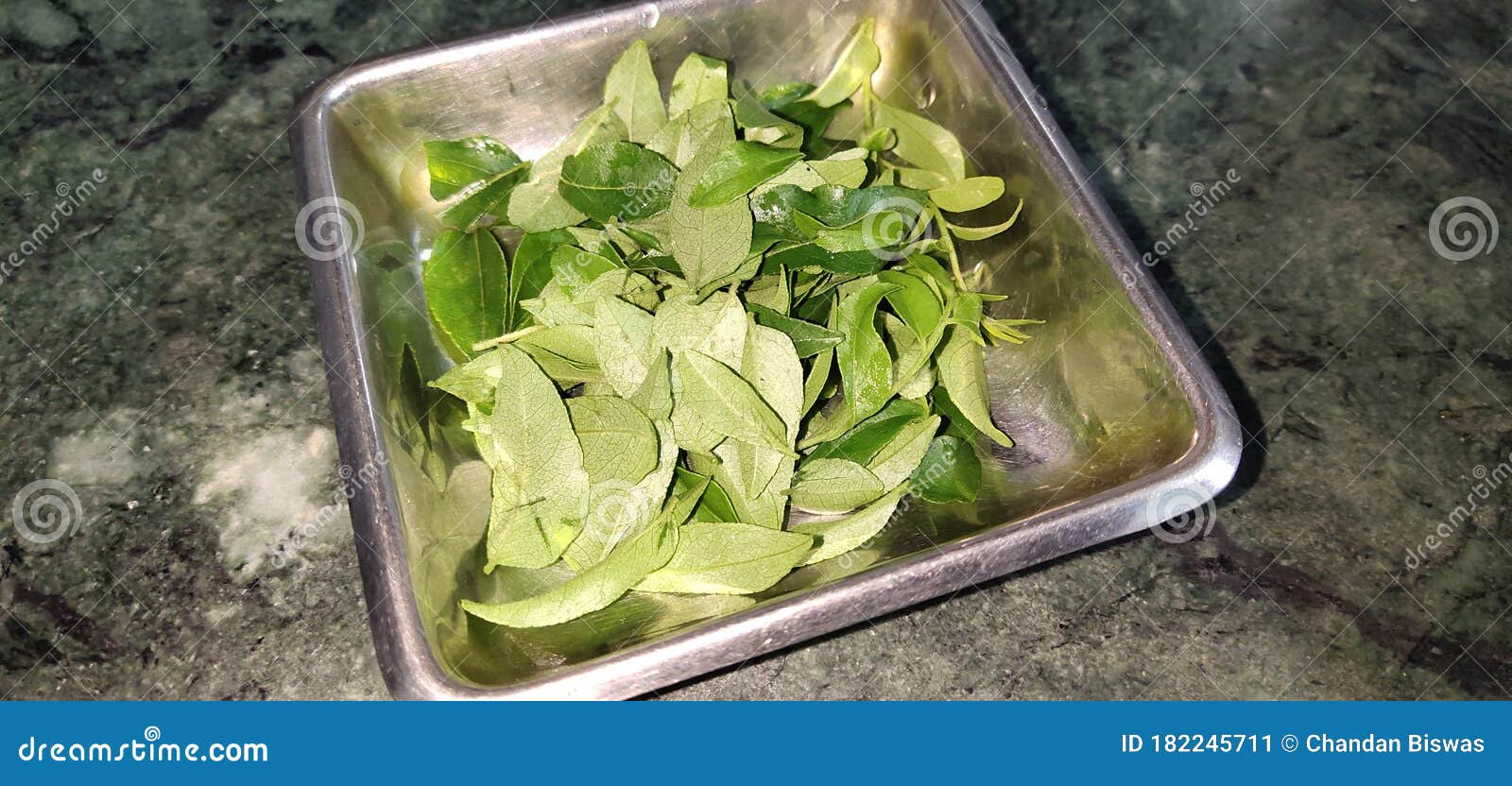 Fresh Kadi Green Leaves Stock Photos - Free & Royalty-Free Stock Photos ...