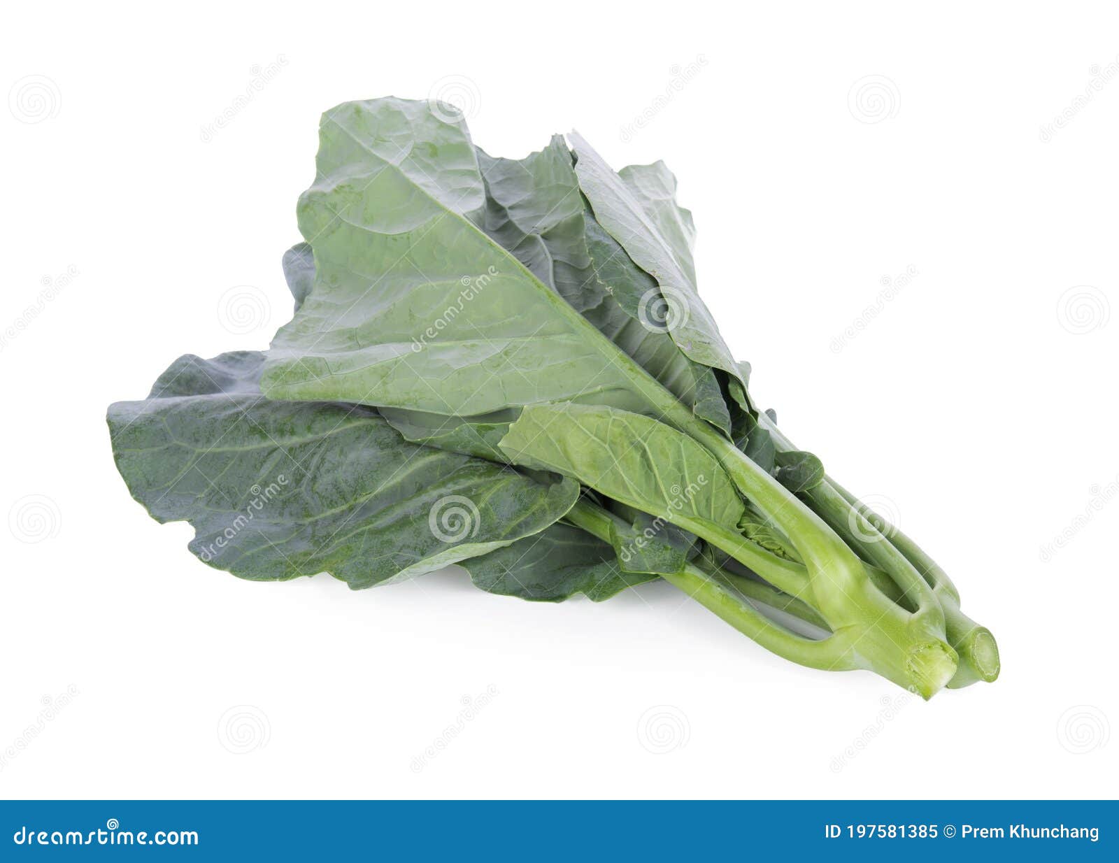 Fresh Kailan Isolated on White Background Stock Image - Image of asian ...