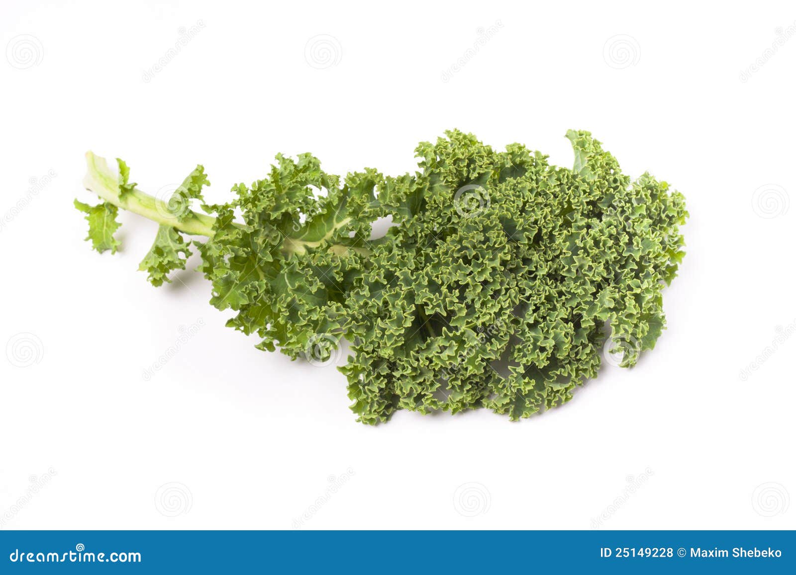 Fresh kale stock photo. Image of lettuce, diet, salad - 25149228