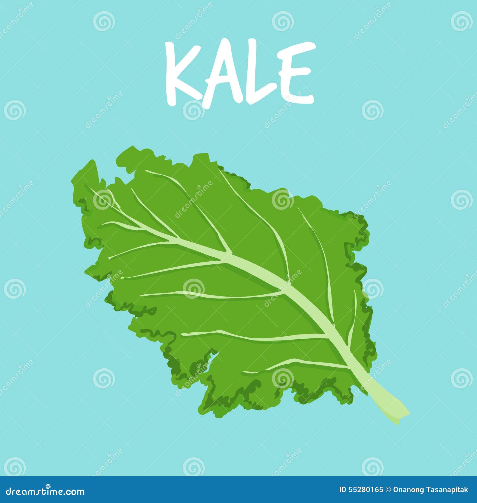 Fresh kale on blue stock vector. Illustration of manganese - 55280165