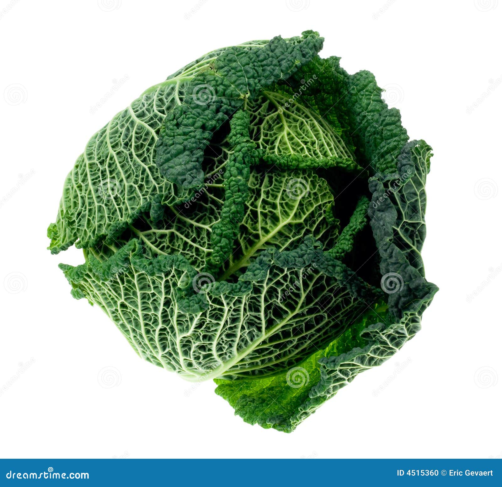 Fresh kale isolated stock photo. Image of color, ingredient - 4515360