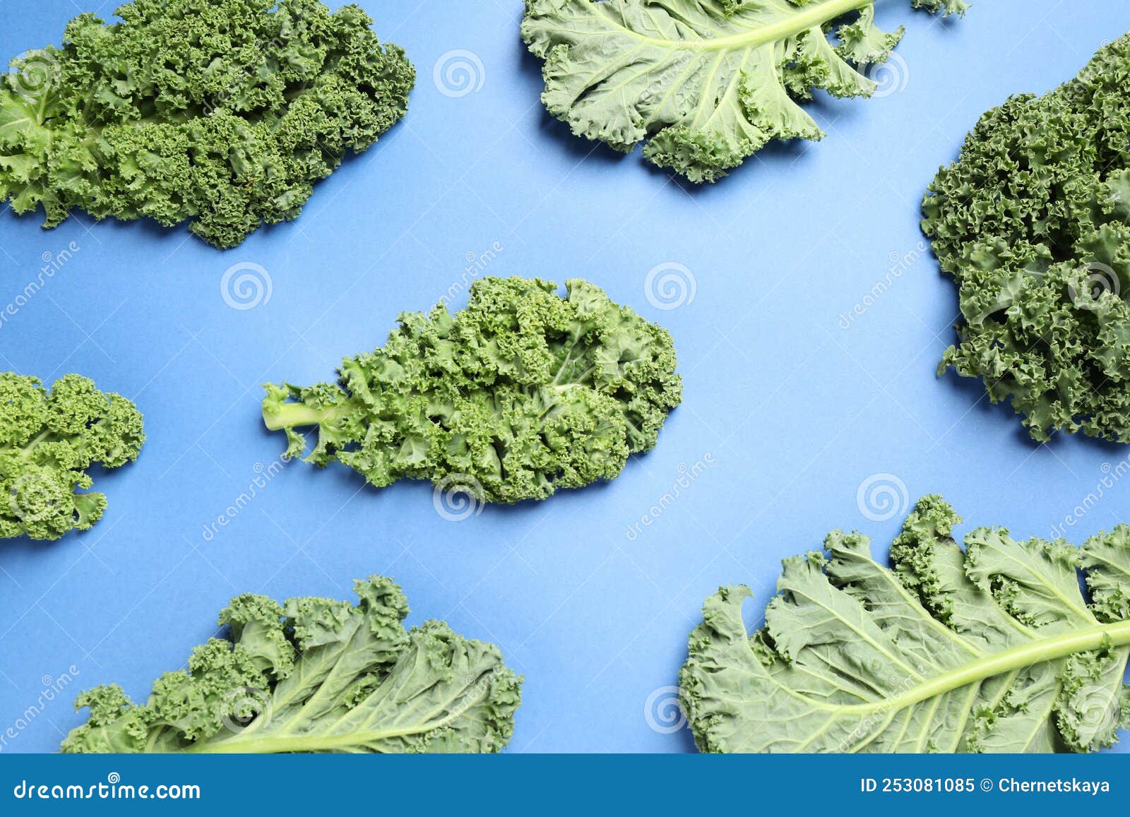 Fresh Kale Leaves on Blue Background, Flat Lay Stock Image - Image of ...