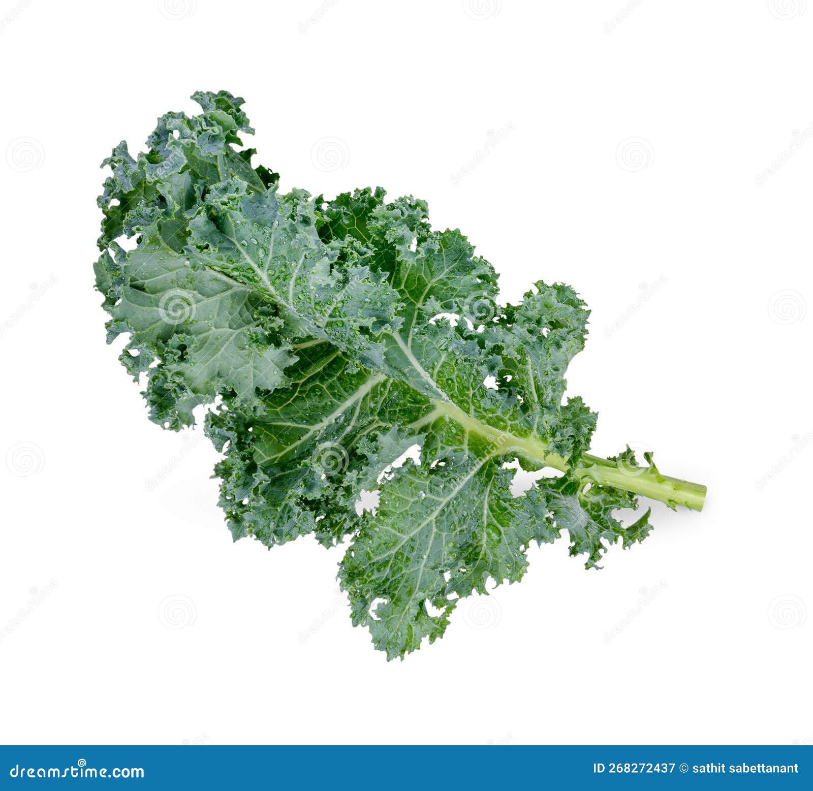 Fresh Kale with Water Drops Isolated on White Background Stock Image ...