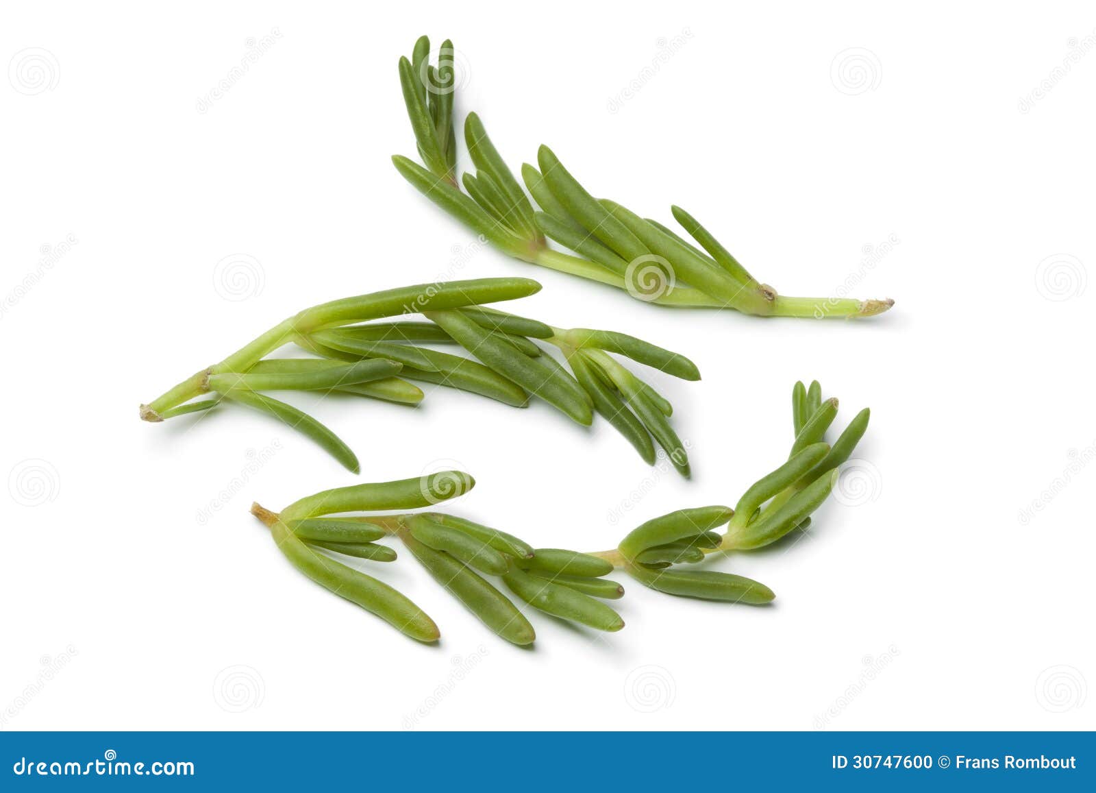 Fresh Karkalla Stock Photos - Free & Royalty-Free Stock Photos from ...